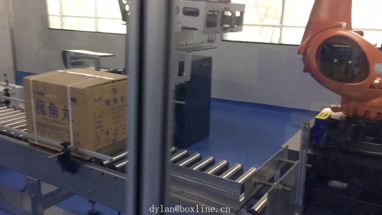 Revolutionary Automated Packing And Palletizing Line Innovative